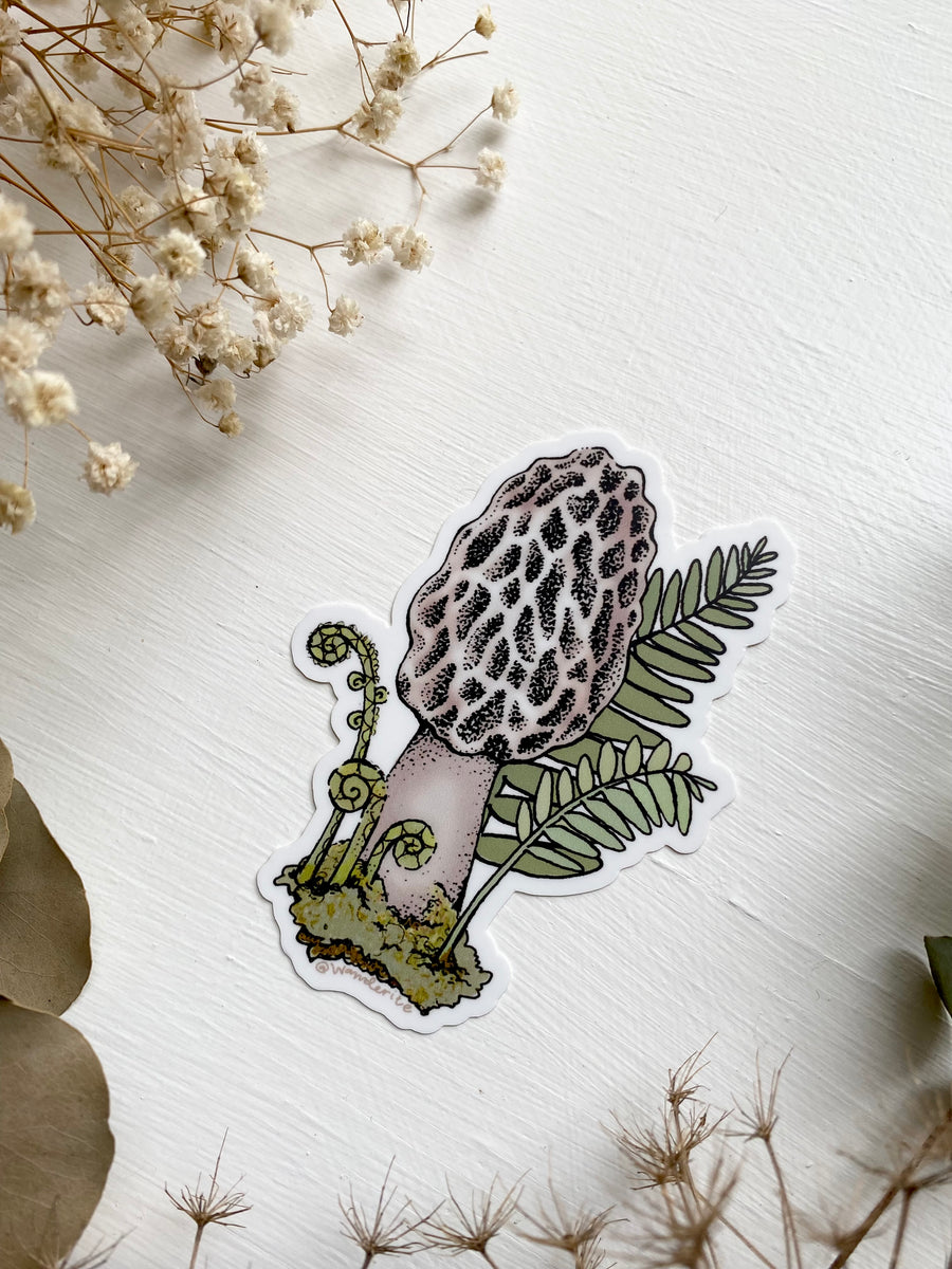 Morel Mushroom Sticker – Wanderite